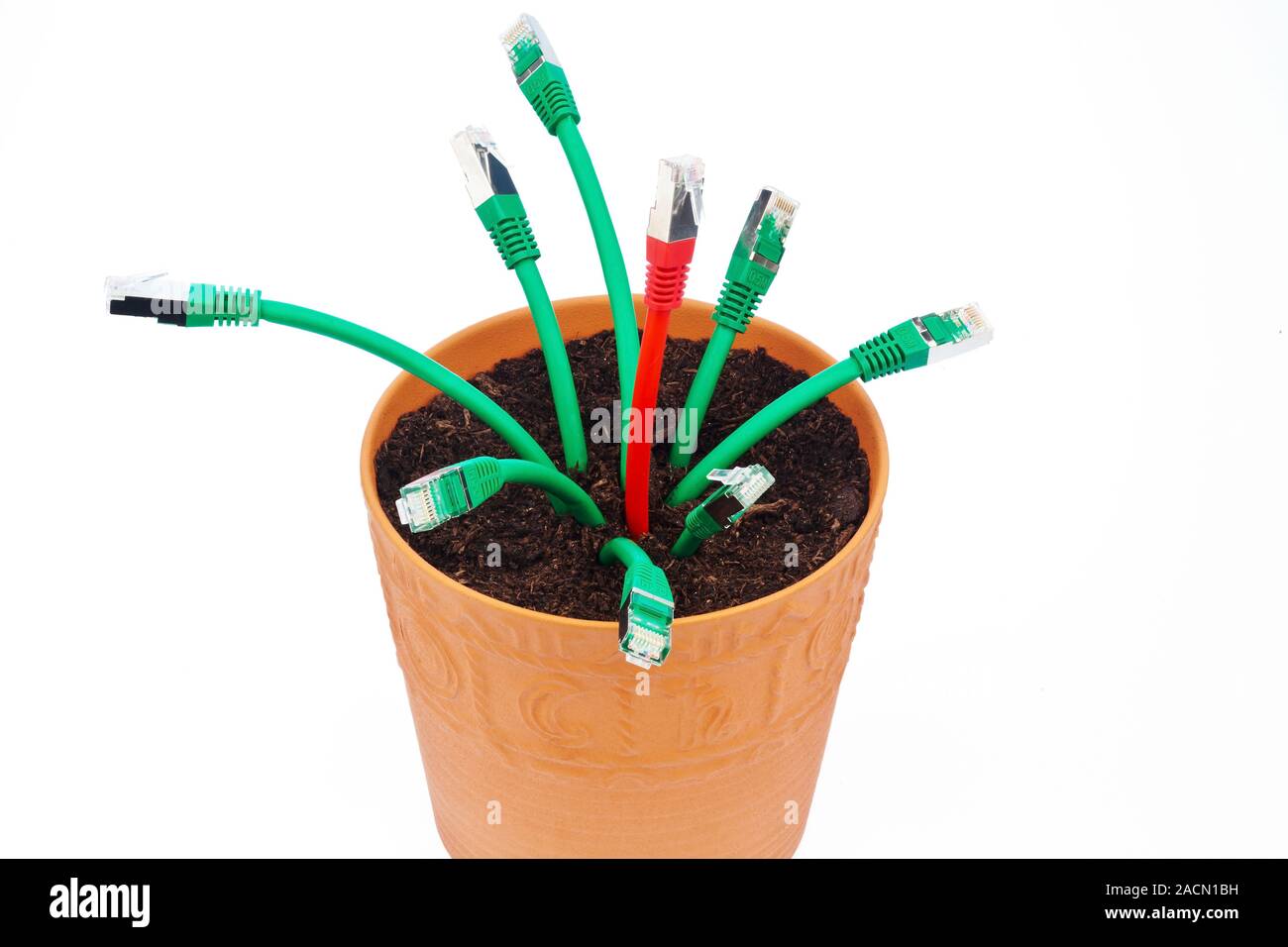 Computer network bridges hi-res stock photography and images - Alamy