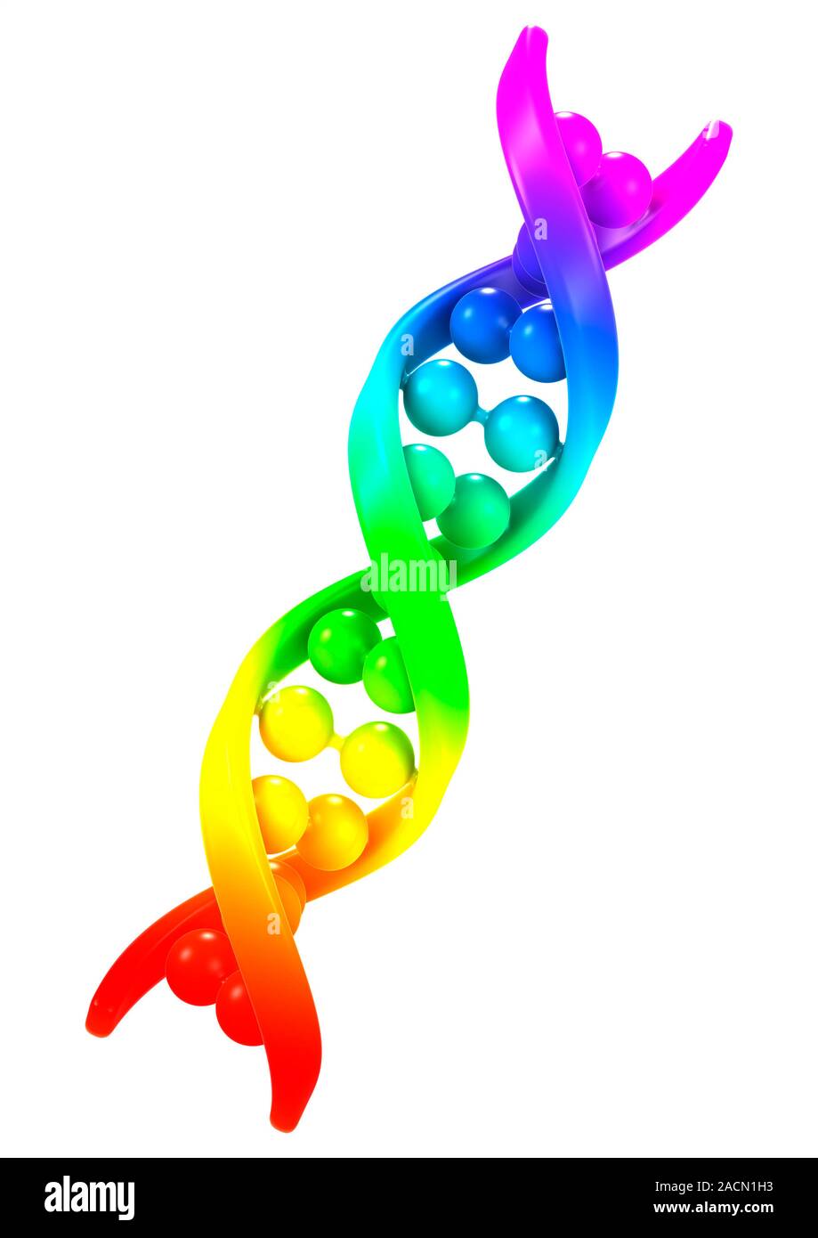 DNA molecule. Computer artwork showing a double stranded DNA ...