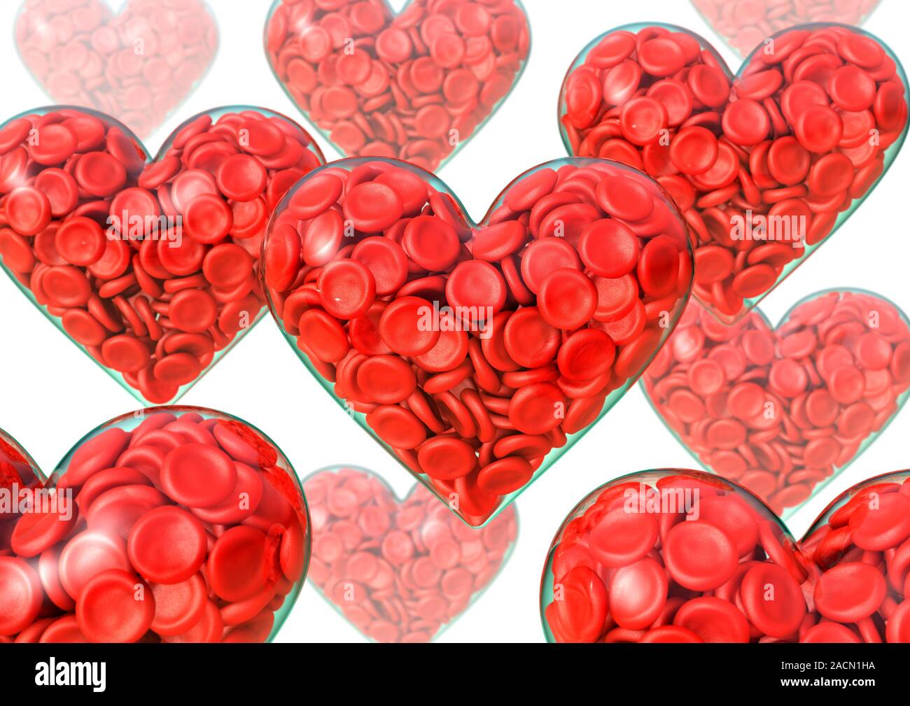 Heart care, conceptual image. Computer artwork of red blood cells ...