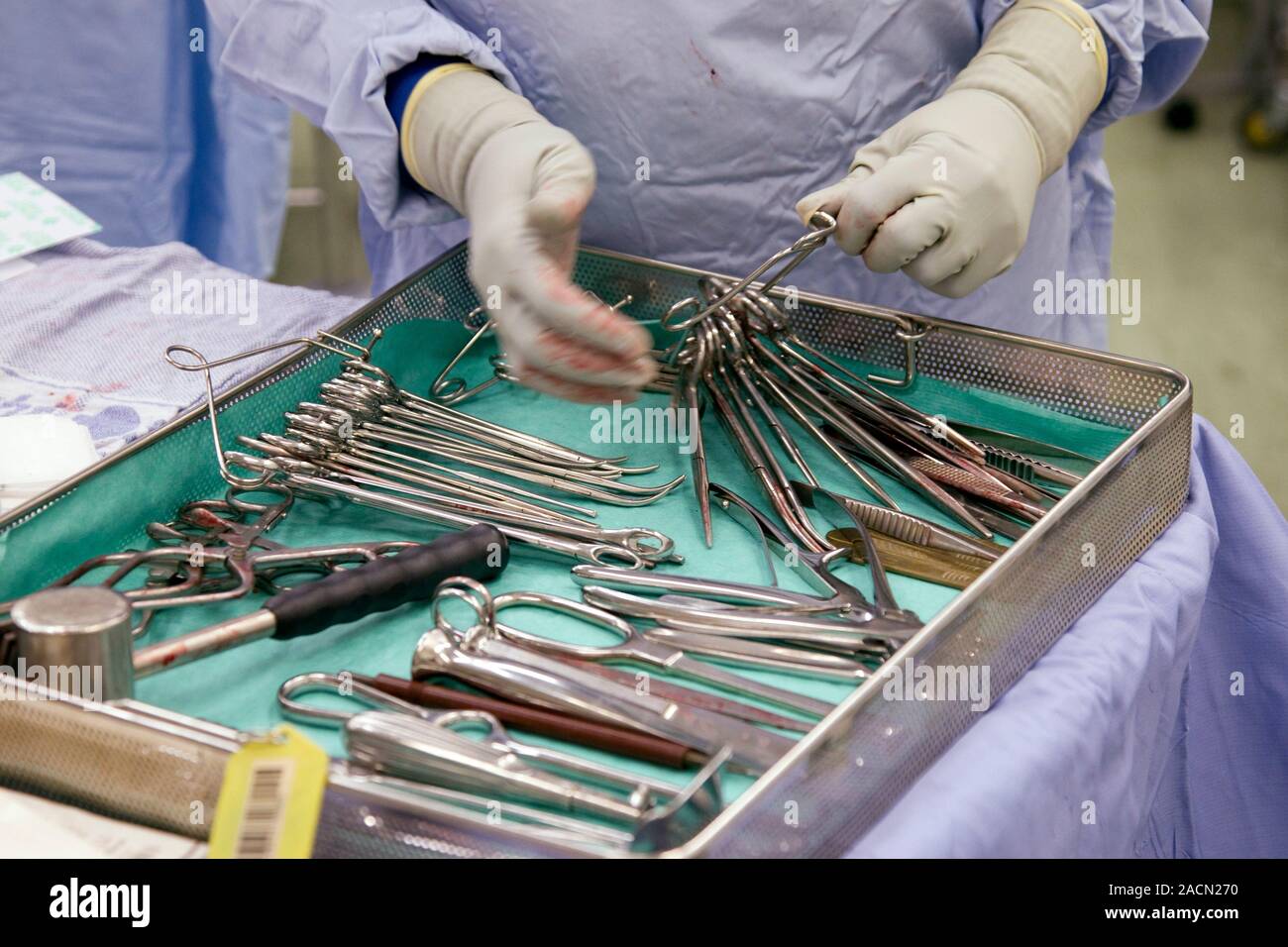 Surgical tools. Surgical team member laying out tools ready for use Stock Photo - Alamy
