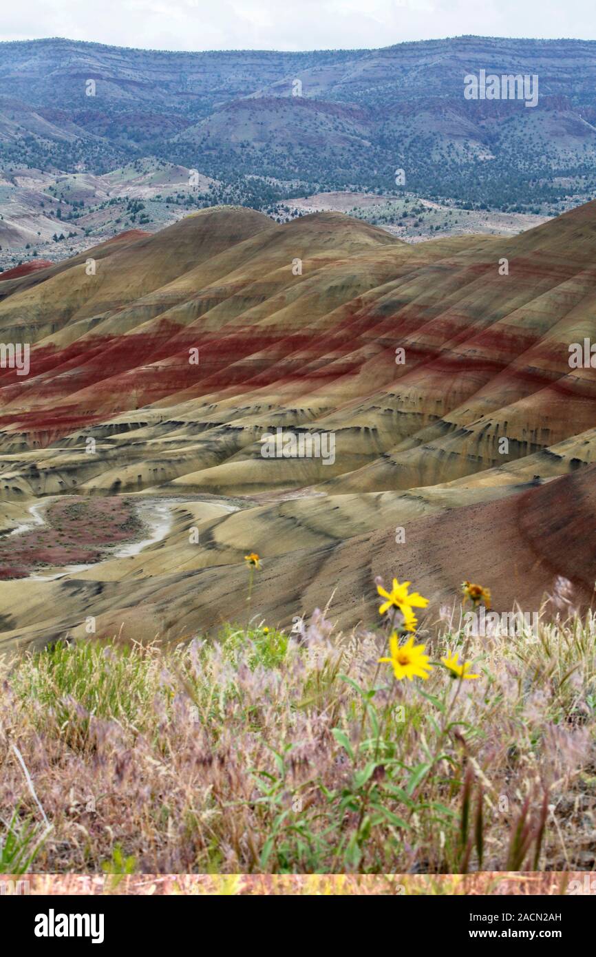 Painted Hills. Strata (layers) of sediments exposed at the Painted Hills Unit of the John Day ...