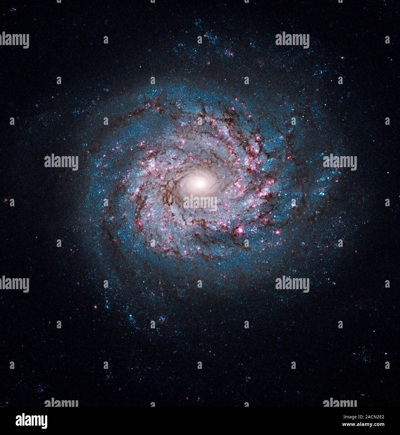 Spiral galaxy. Hubble Space Telescope (HST) image of the spiral galaxy ...