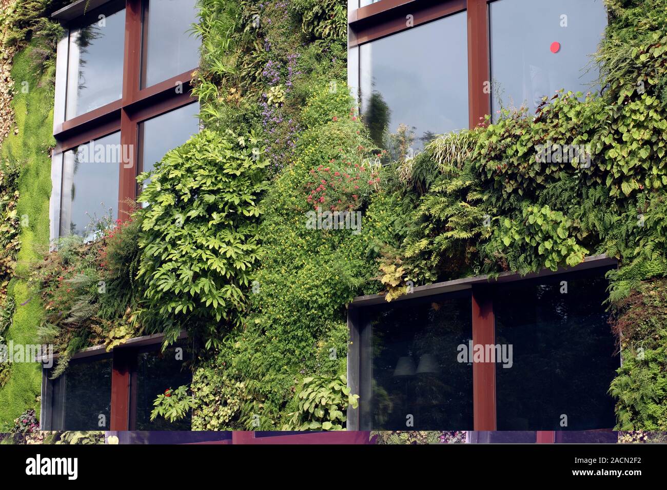 Vertical garden. Also called a green wall, living wall, or biowall ...