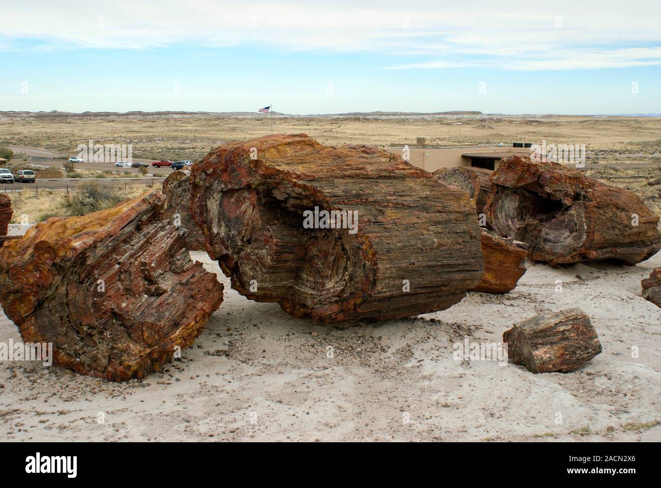 Petrified Forest National Park, Arizona: Giant Logs section. Millions ...