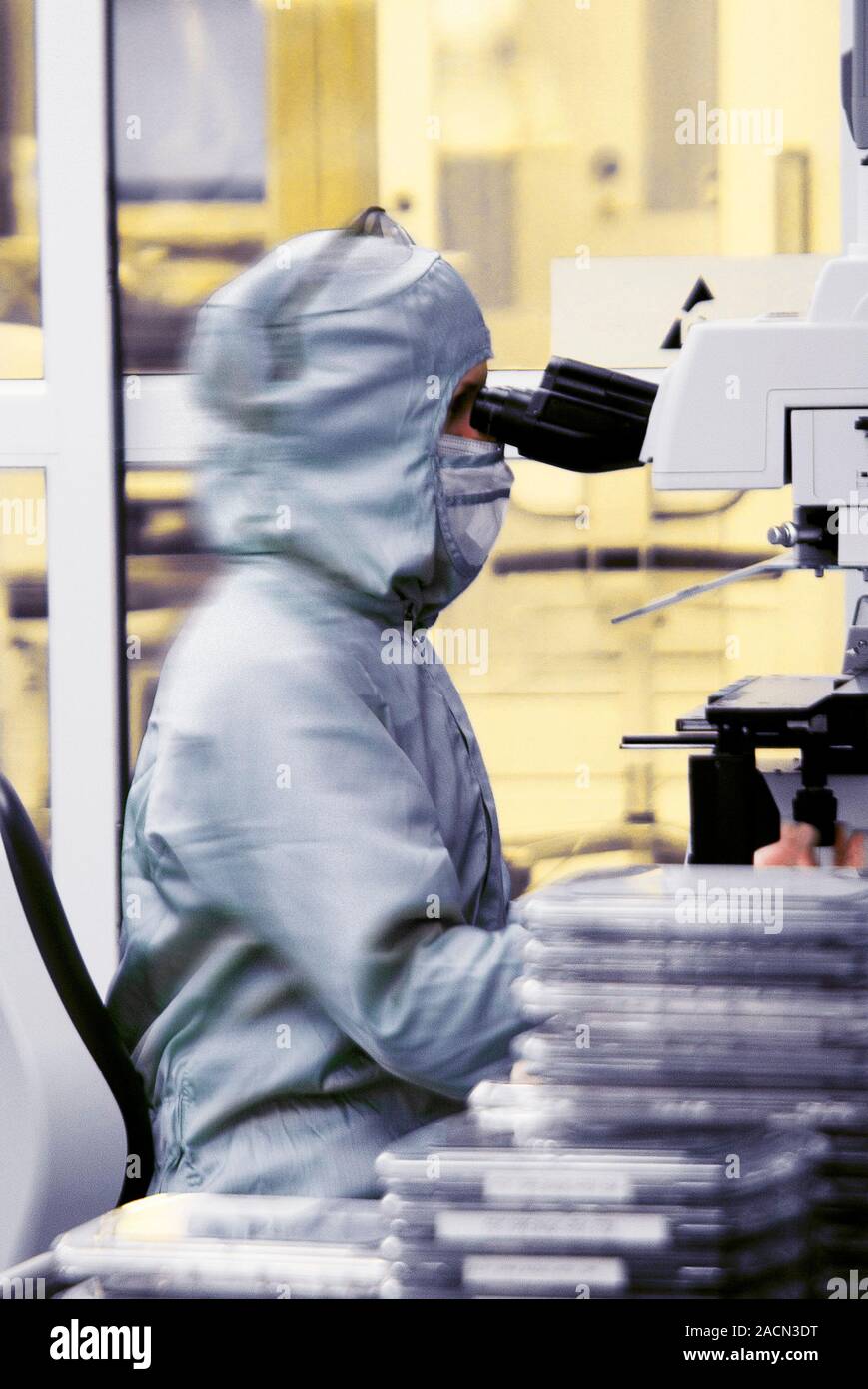 Cleanroom. Person wearing a cleanroom suit whilst using a microscope in ...