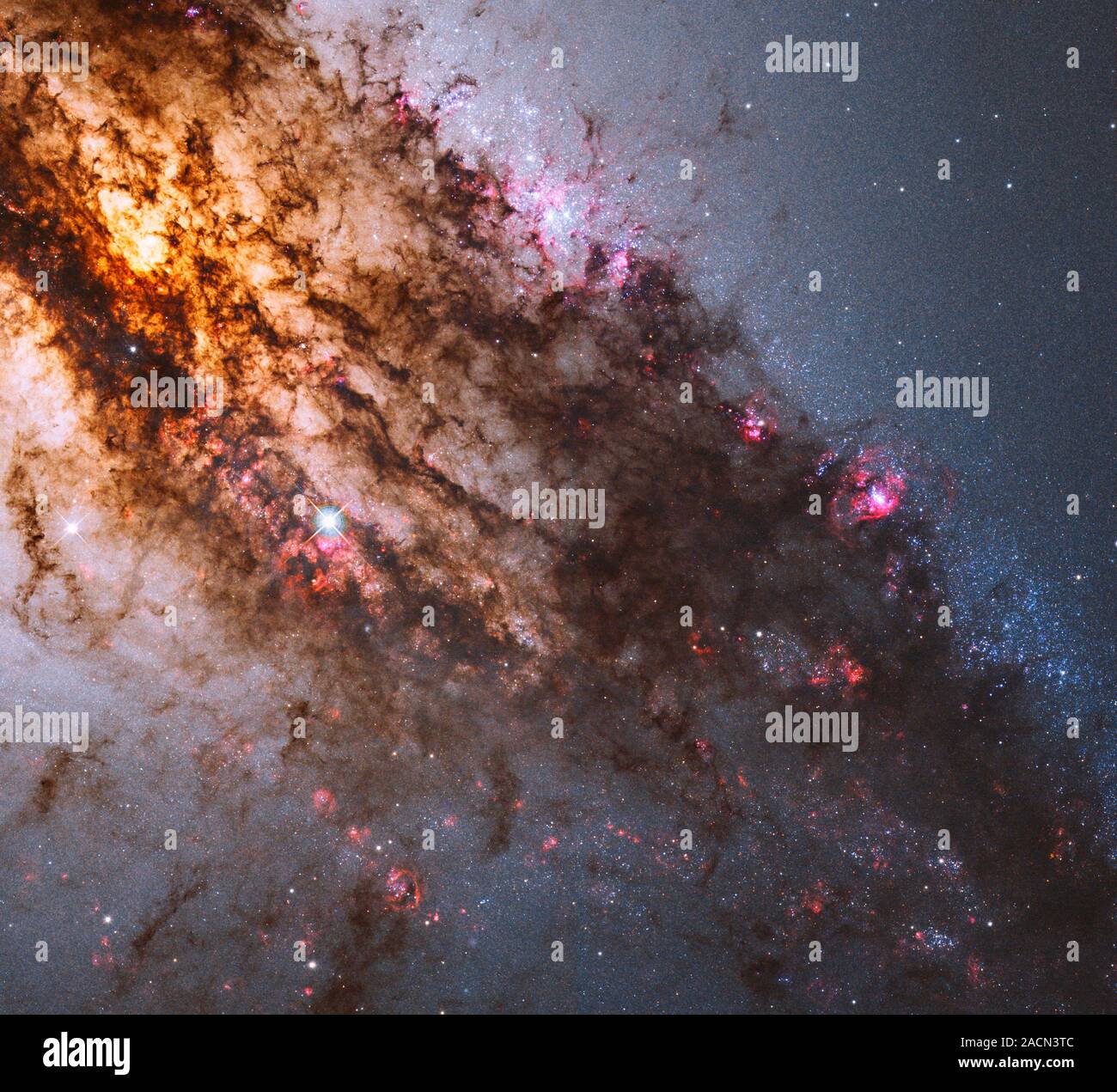 Centaurus A galaxy. Hubble Space Telescope (HST) image of the active ...