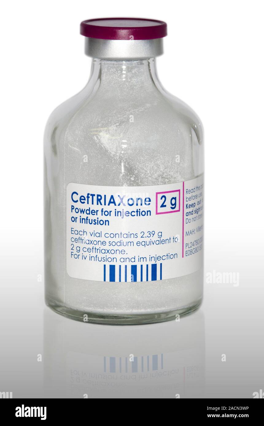 Bottle of powdered Ceftriaxone (Rocephin), a cephalosporin antibiotic ...