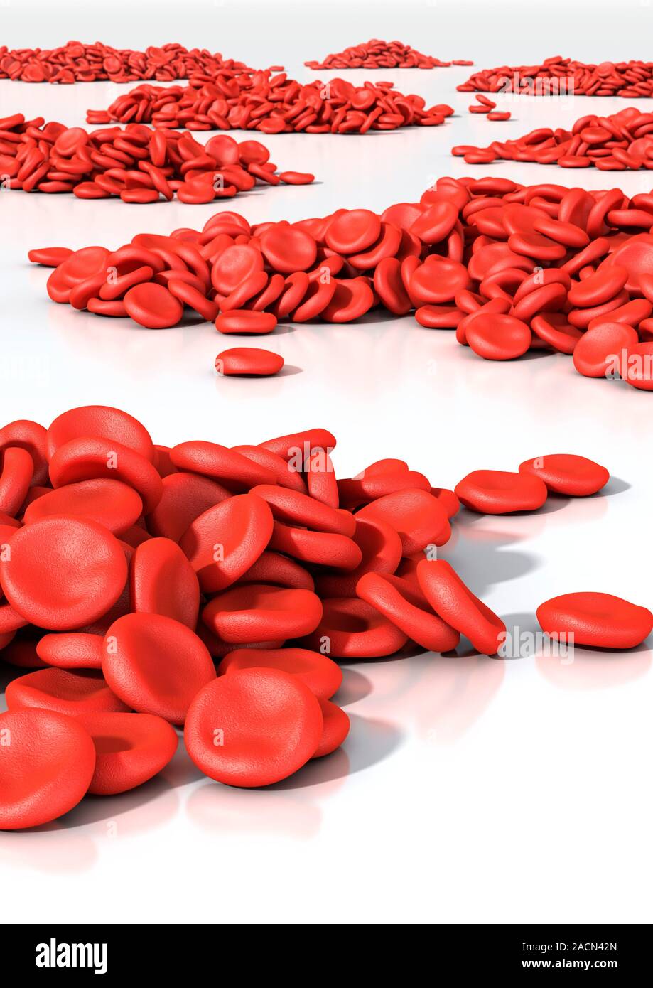 Red blood cells (erythrocytes), computer artwork Stock Photo - Alamy