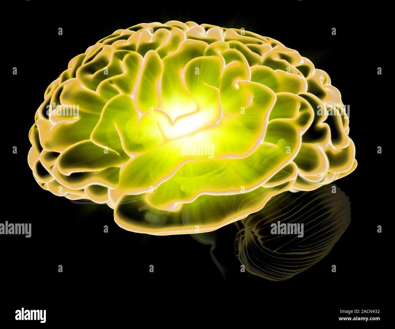 Intelligence, conceptual computer artwork Stock Photo - Alamy