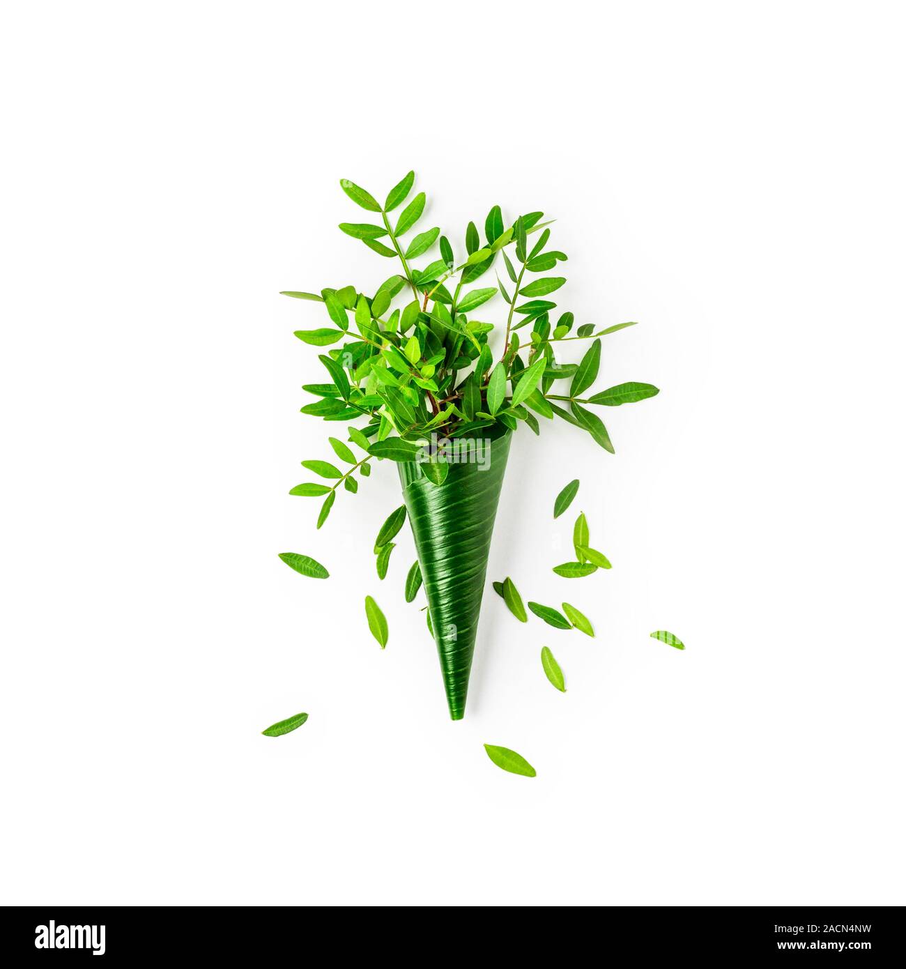 Creative arrangement. Natural jungle leaf cone with pistachio green ...