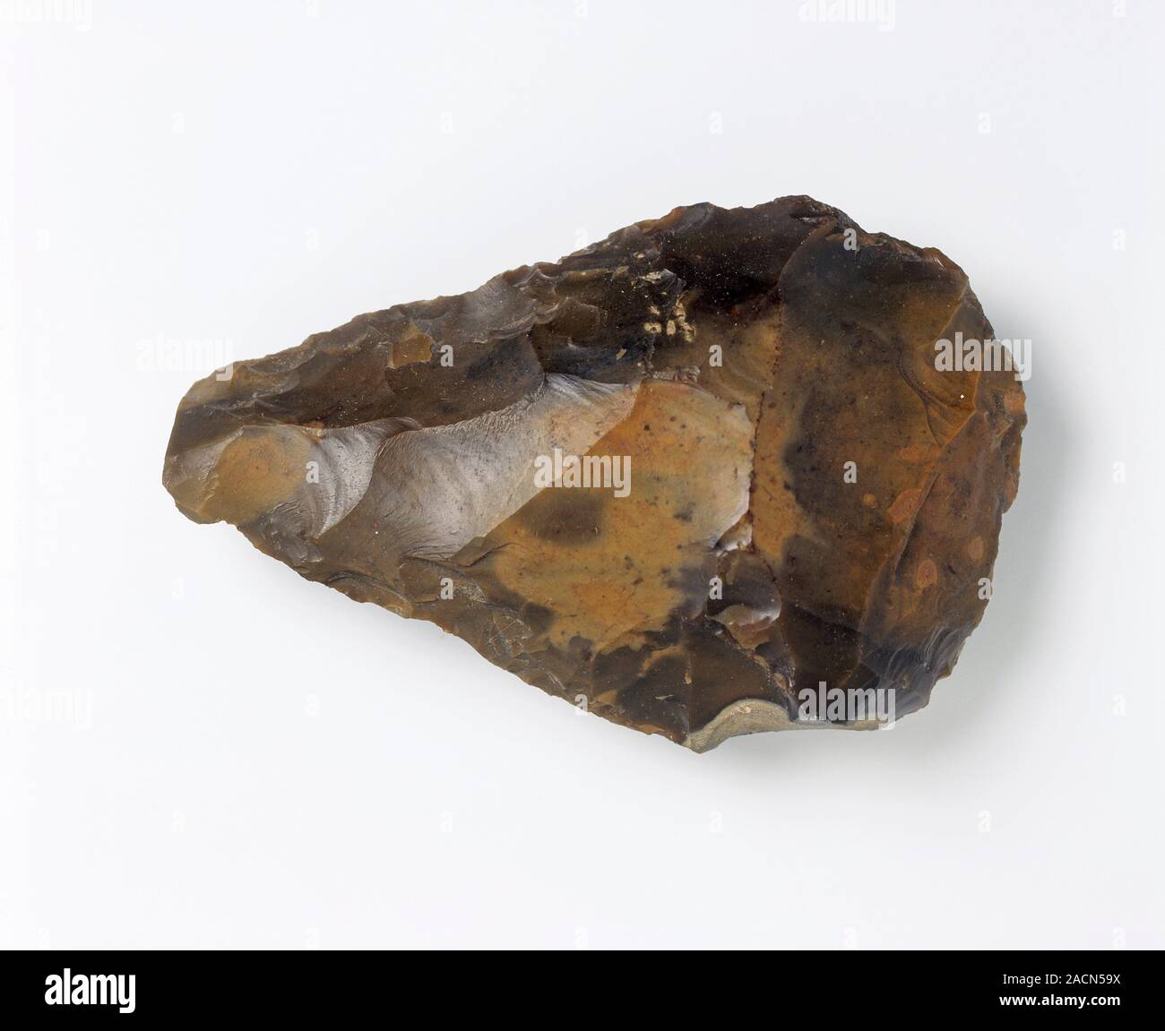 Swanscombe hand axe. One of many hand axes that have been discovered at ...