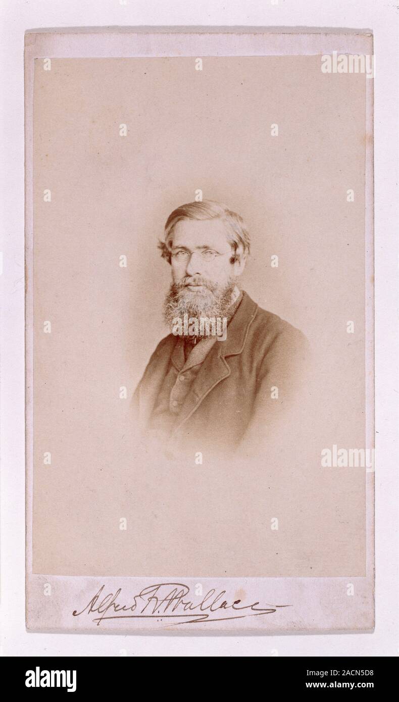 Alfred Russel Wallace (1823-1913), British naturalist. Wallace ...