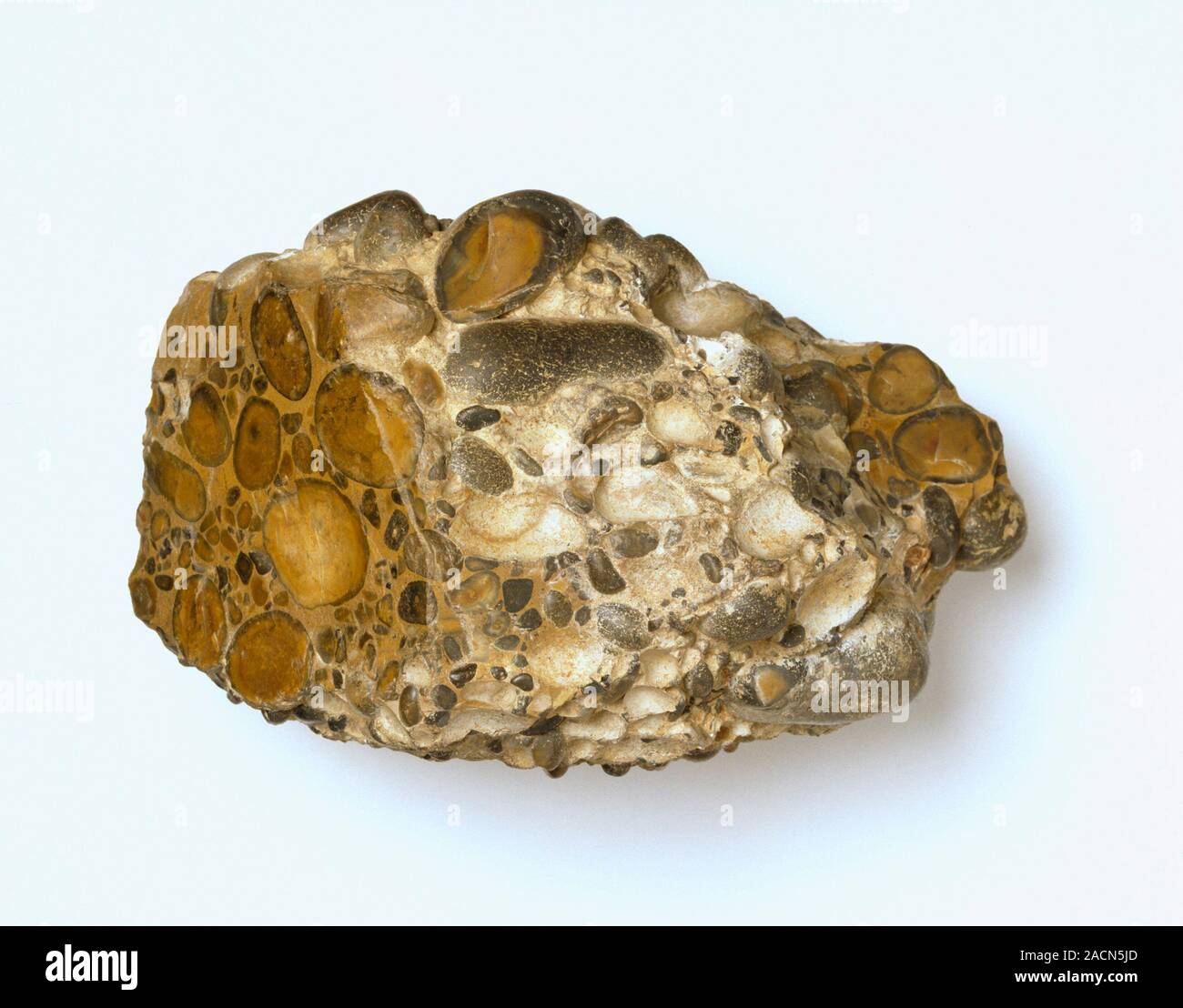 Puddingstone is a conglomerate sedimentary rock composed of rounded ...