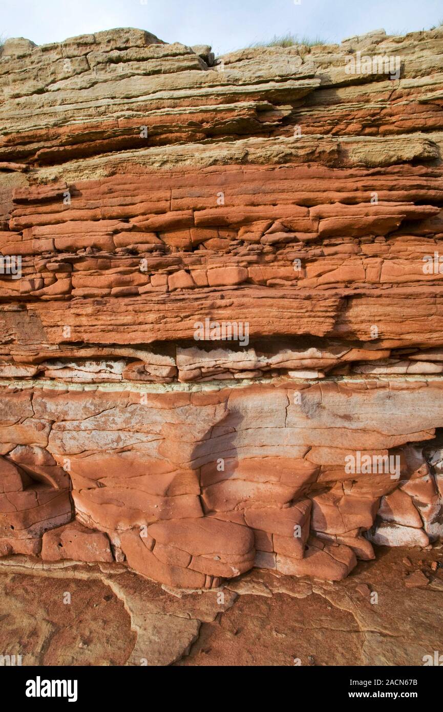 Triassic rock formations. Close-up of a sandstone rockface showing the ...