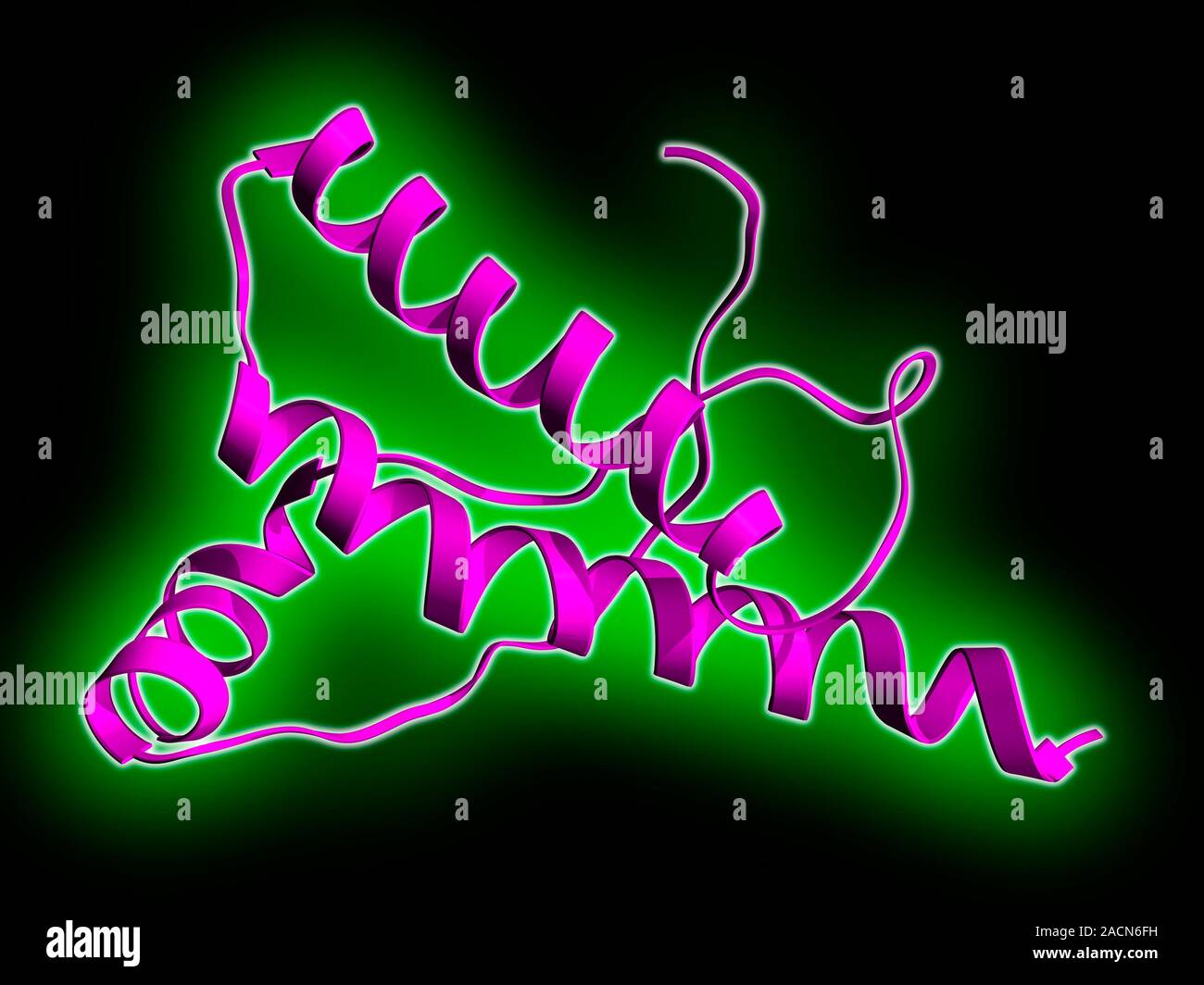 Human prion precursor protein, molecular model showing secondary ...