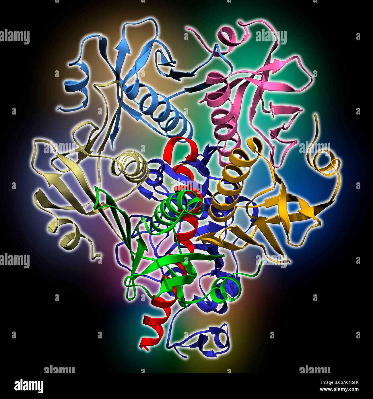 Escherichia coli heat-labile enterotoxin, molecular model showing ...
