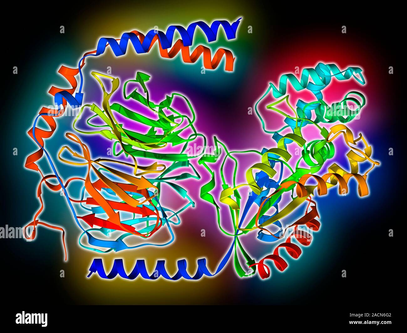 Heterotrimeric G protein complex, molecular model showing secondary ...