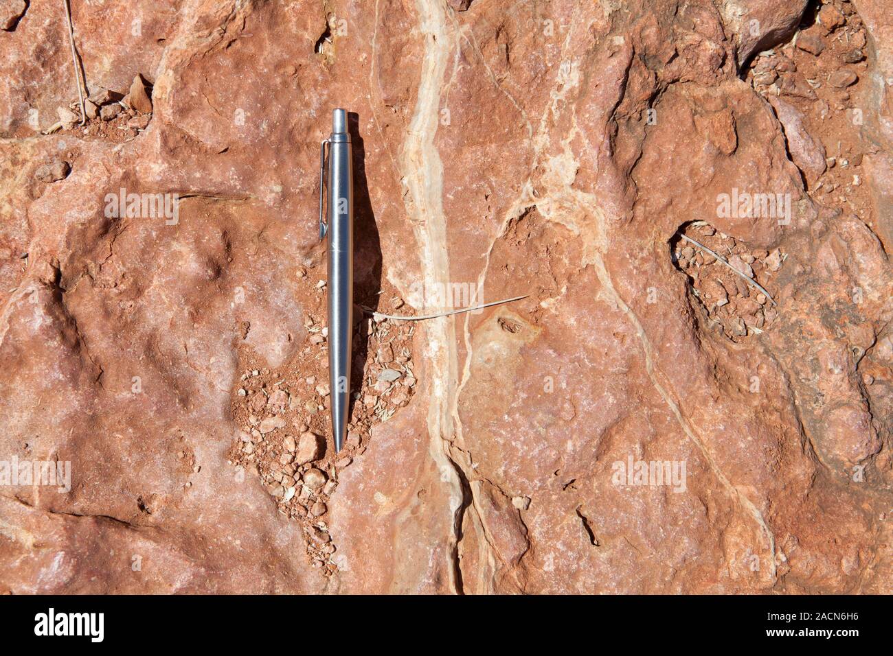 Calcite (calcium carbonate) veining in limestone. Photographed in Cape ...