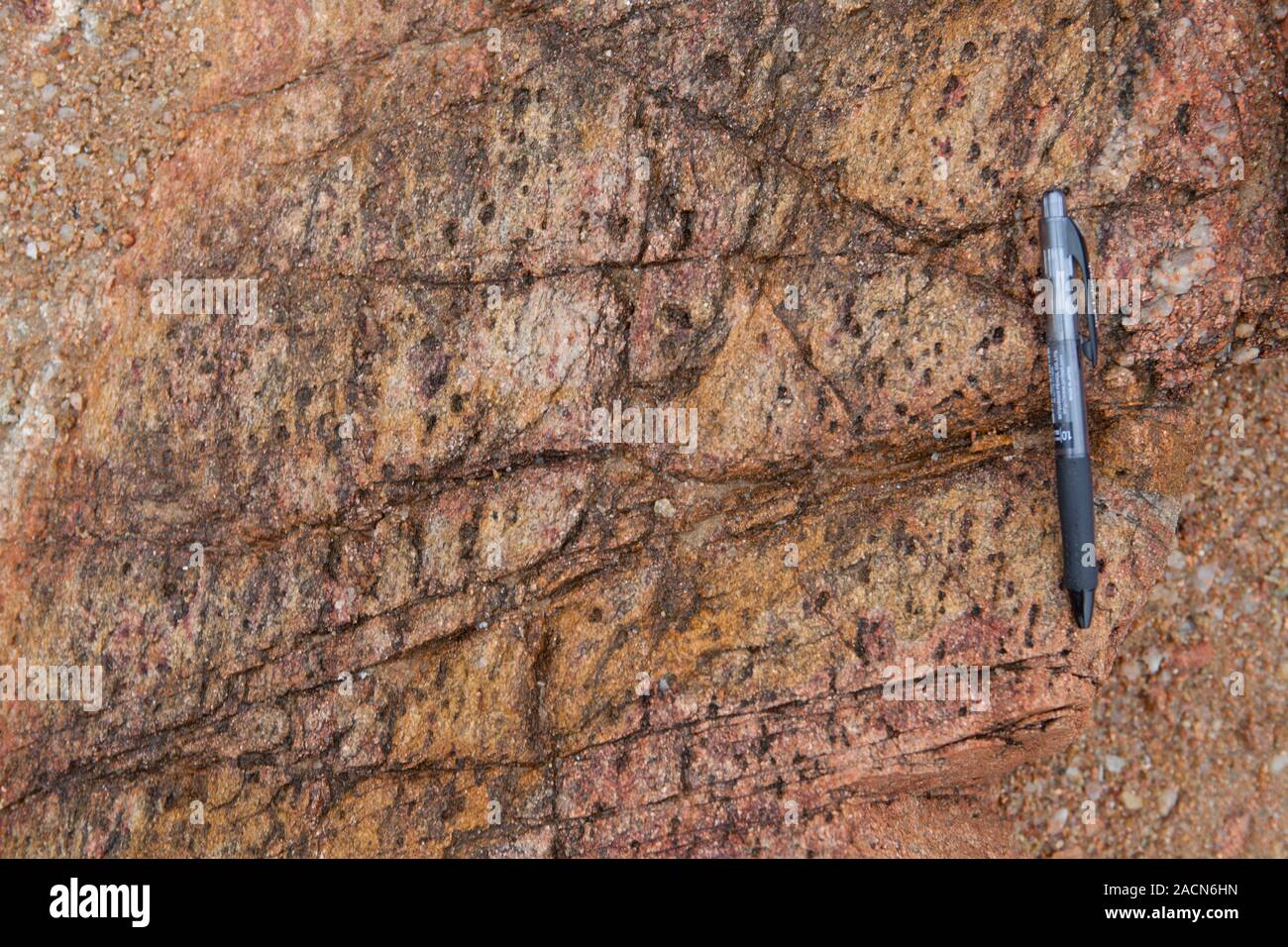 Heavily jointed gneiss outcrop. Gneiss is formed from other types of ...