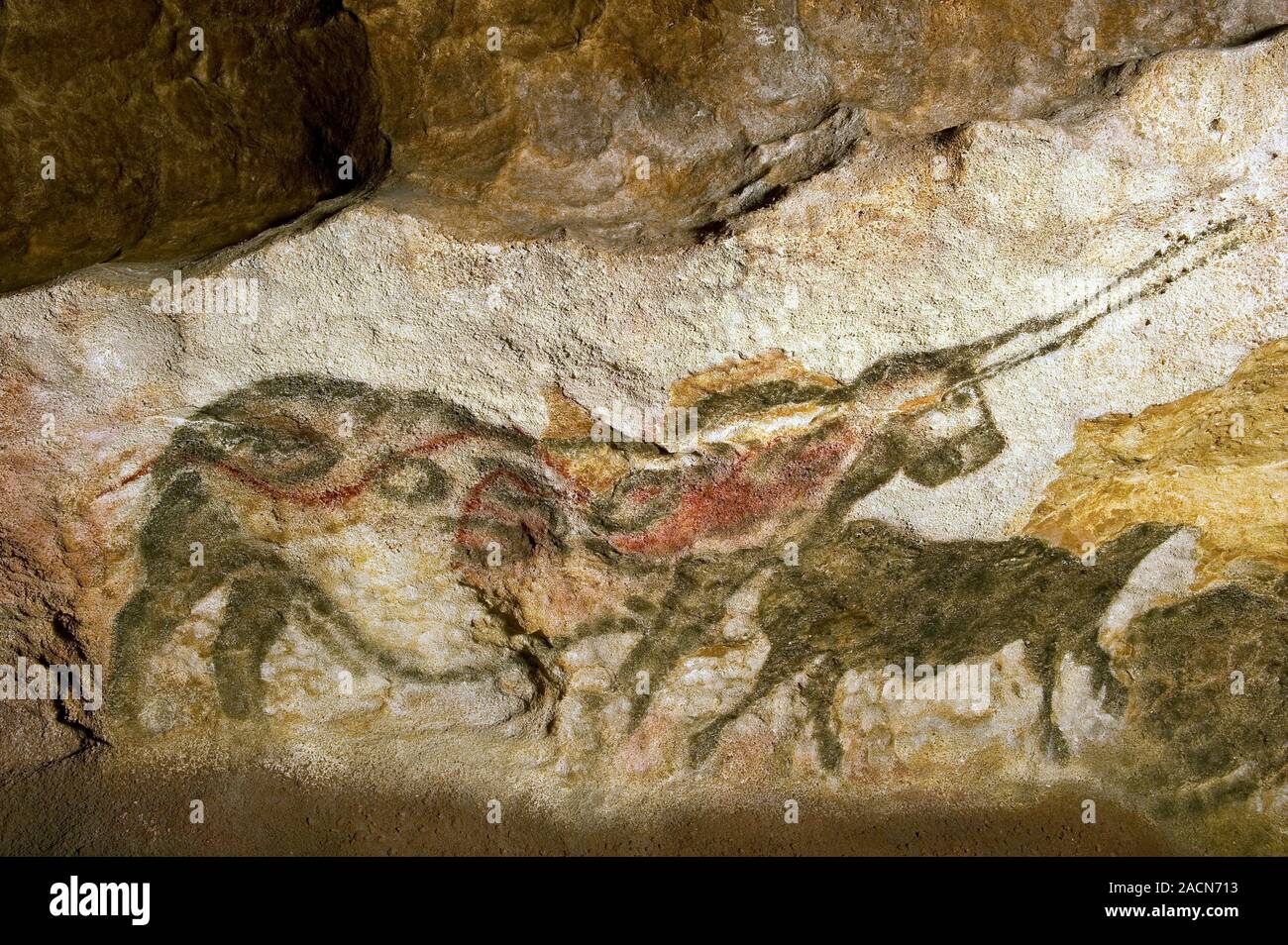 Lascaux II replica of a Lascaux cave painting. This is the 'unicorn ...