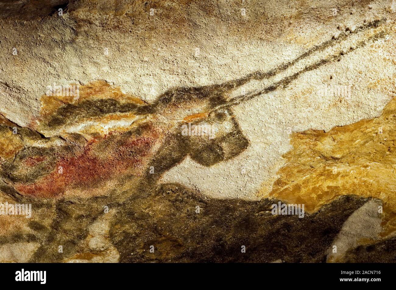 Lascaux II replica of a Lascaux cave painting. This is the 'unicorn ...