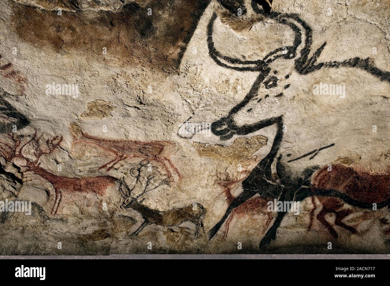 Lascaux II replica of a Lascaux cave painting. These are deer and ...