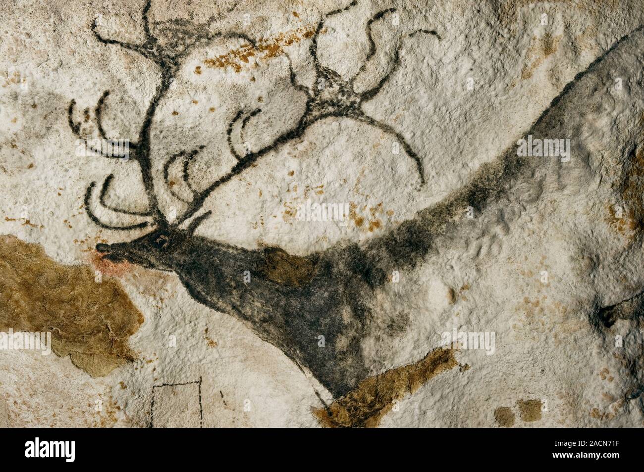 Lascaux II replica of a Lascaux cave painting. This is an deer figure ...