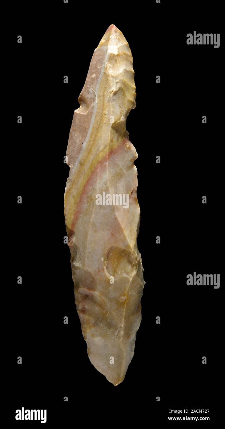 Prehistoric flint. Stone blade made by people from the prehistoric ...