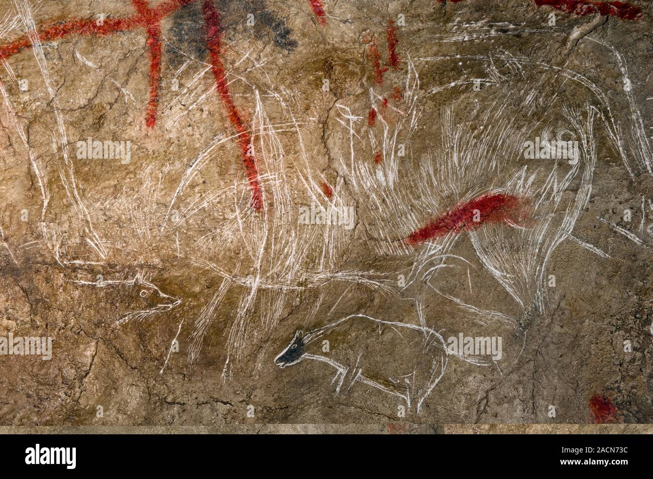 Marsoulas cave painting replica. This is a replica of one of the ...