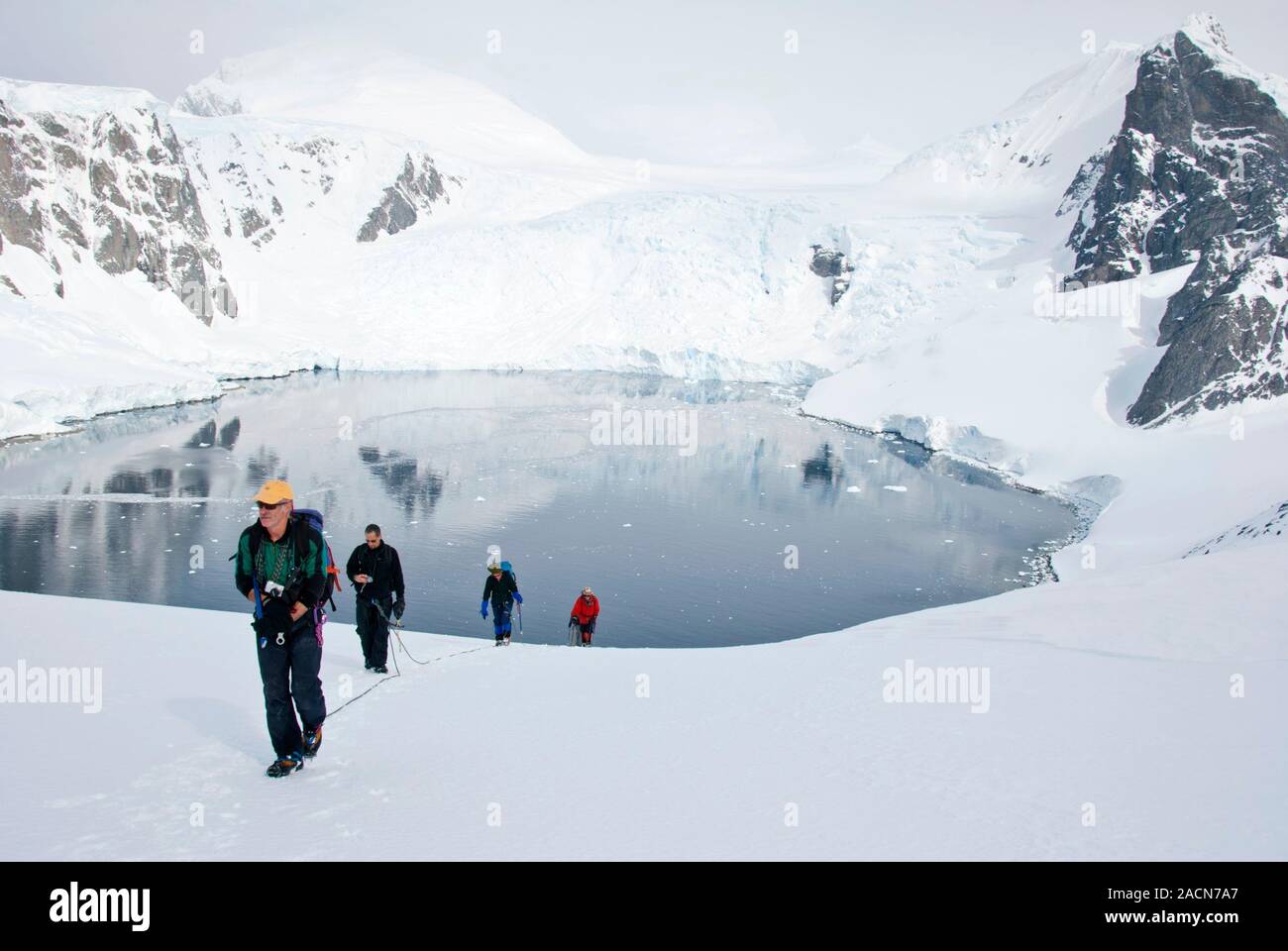 Climbing in Antarctica. Group of climbers making their way up Spigot ...