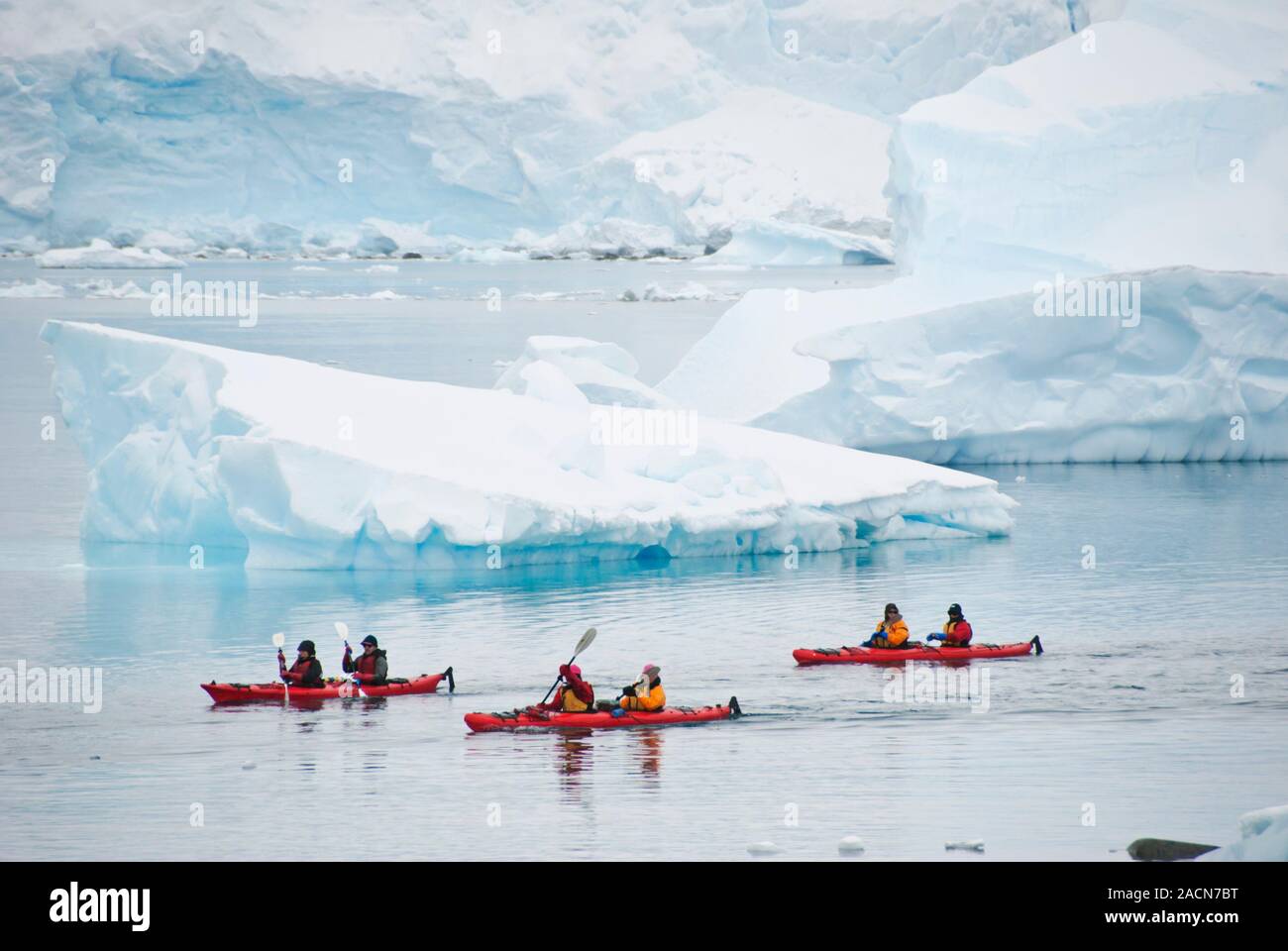 Sea kayaking. Group of sea kayakers paddling between icebergs off the ...