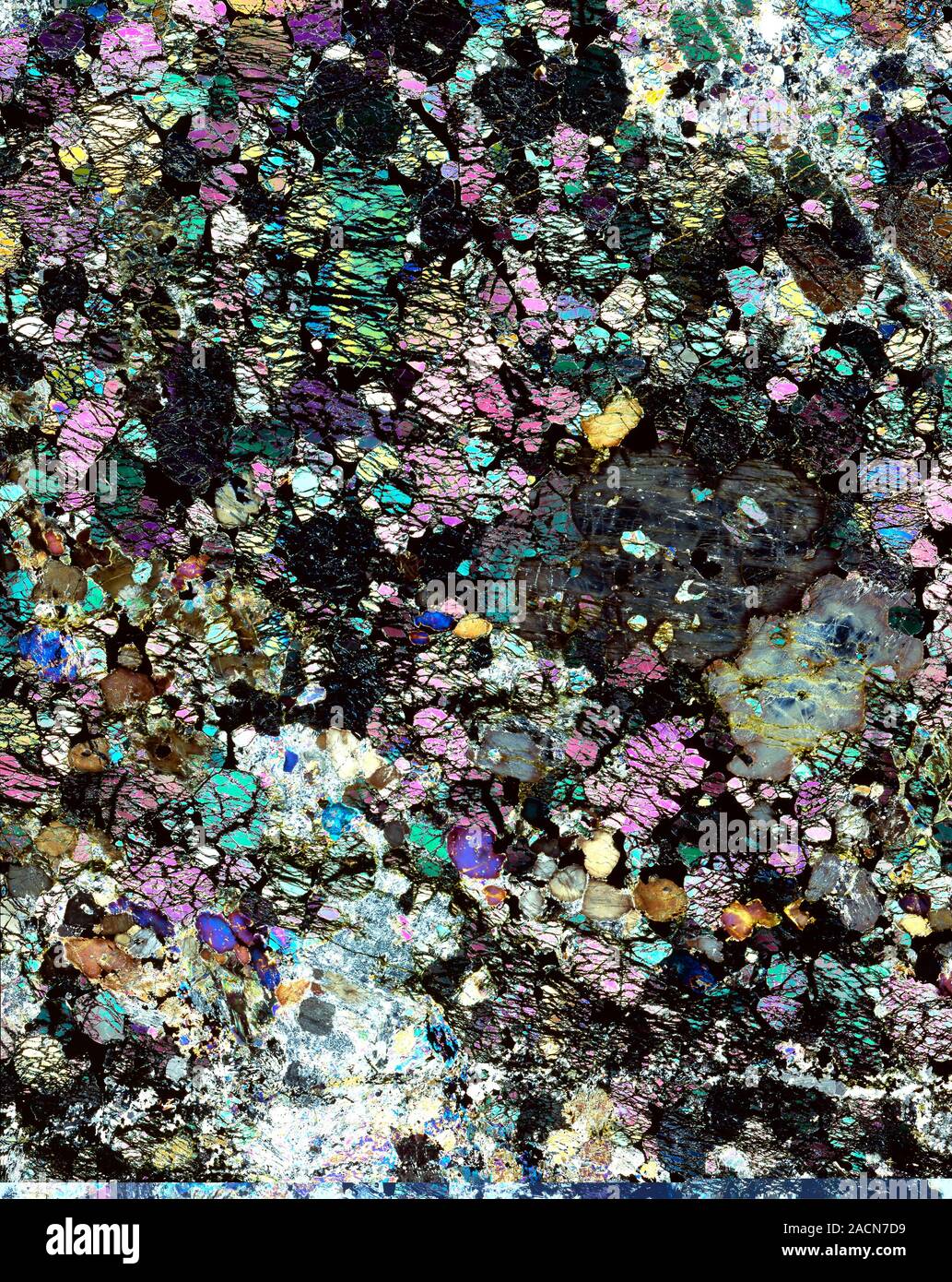 Serpentinised dunite. Polarised light micrograph of a thin section of ...
