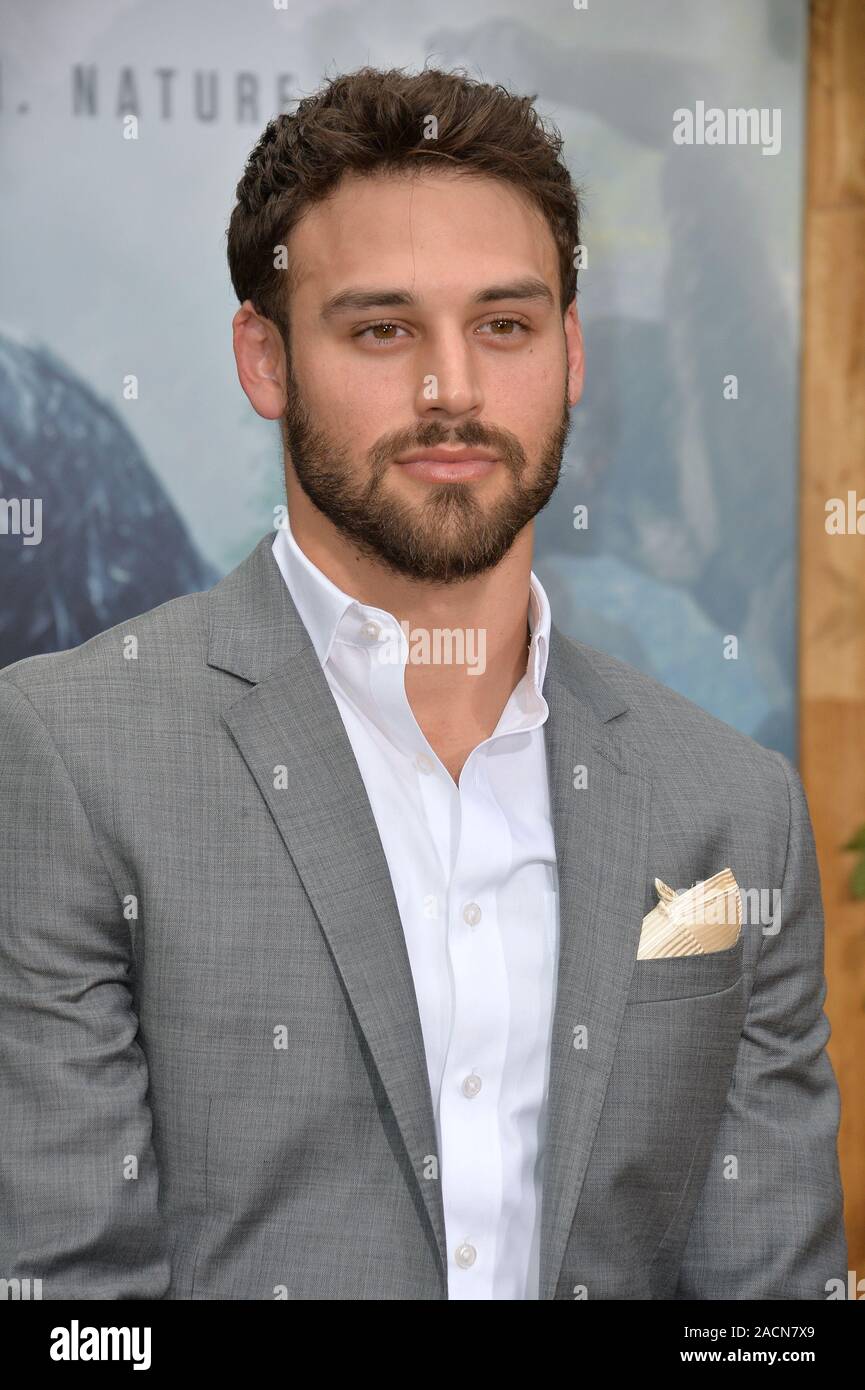 Portrait actor beard grey jacket hi-res stock photography and images ...