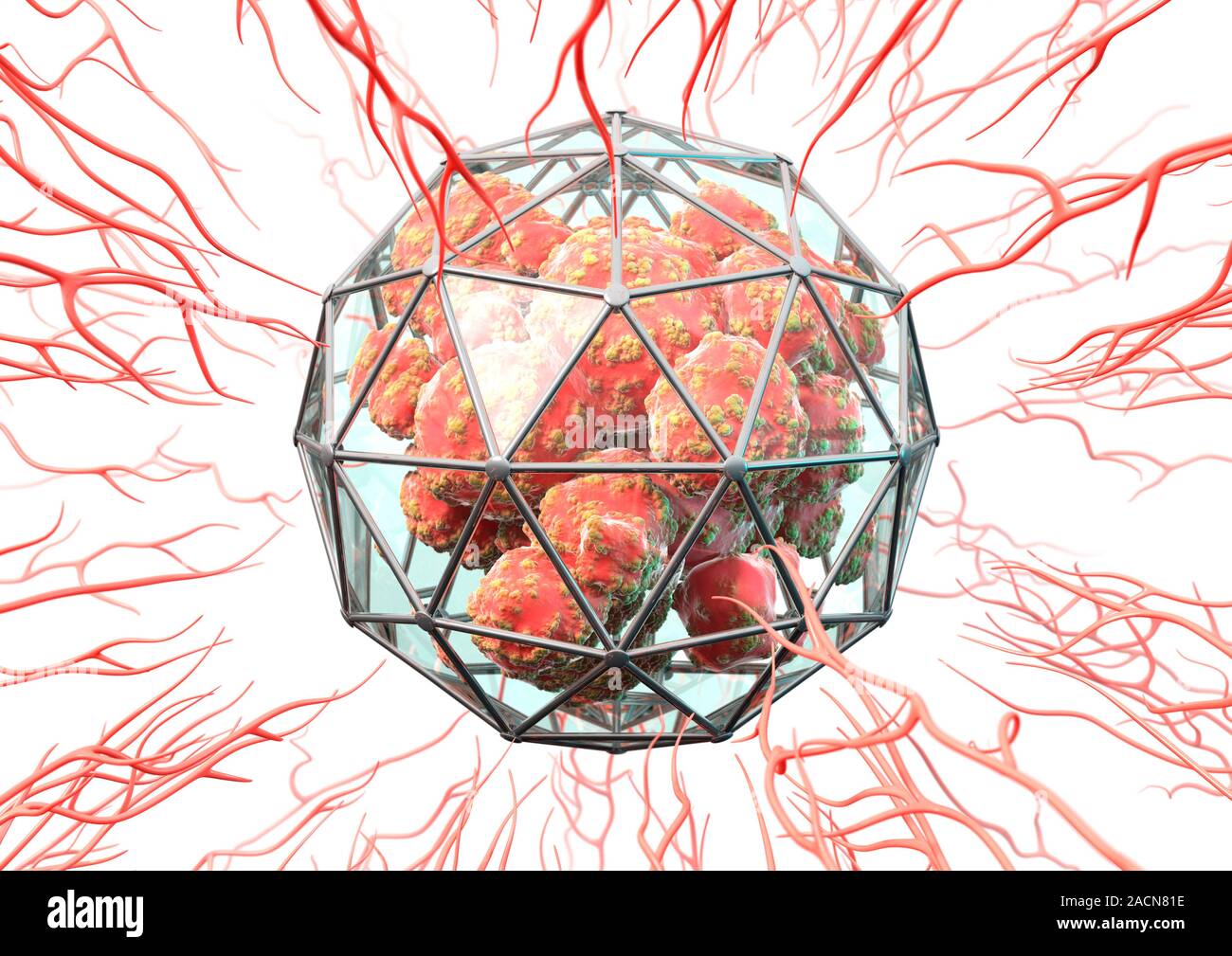 Angiogenesis inhibitors, conceptual image. Computer artwork showing a ...