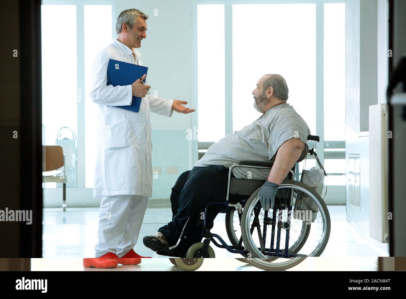 Obesity clinic. Male patient in a wheelchair talking to a doctor Stock ...