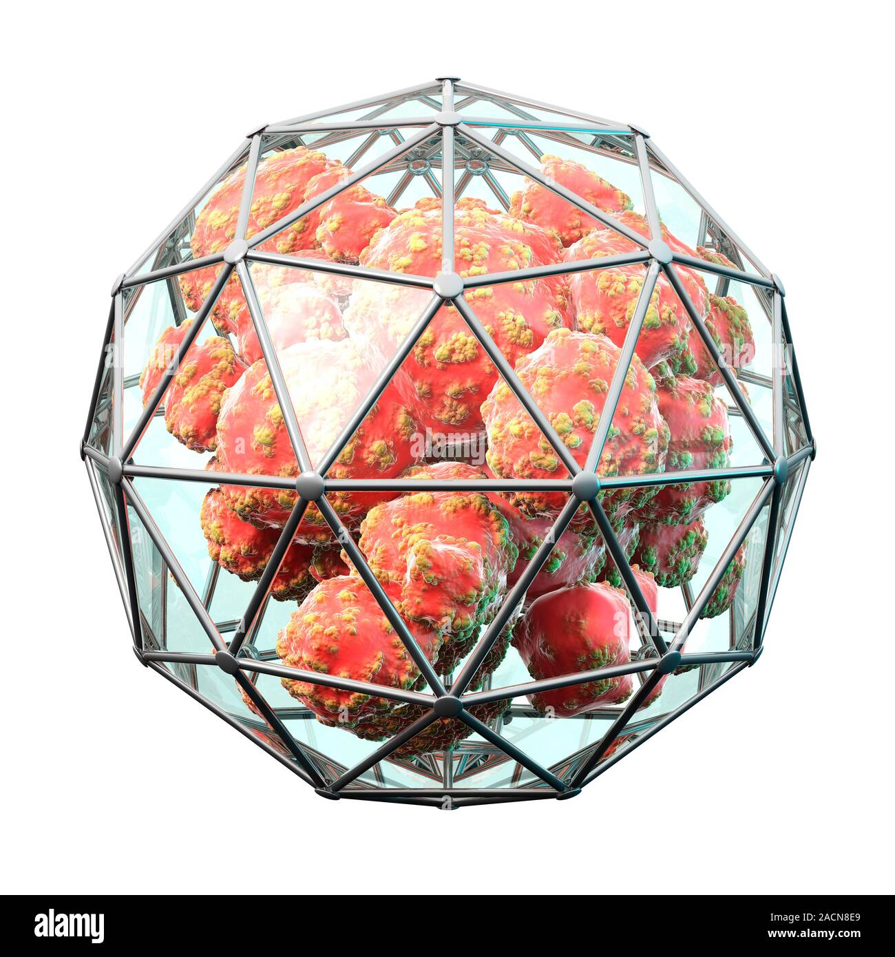 Preventing cancer spreading, conceptual artwork. Cancer cells inside a geodesic cage ...