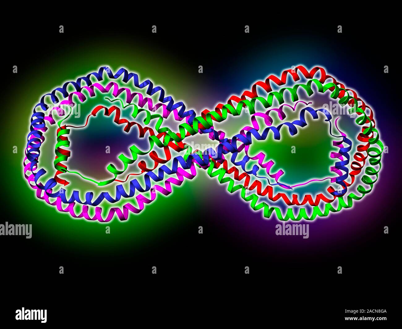 Human Apolipoprotein A-1 molecule. Molecular model showing the ...