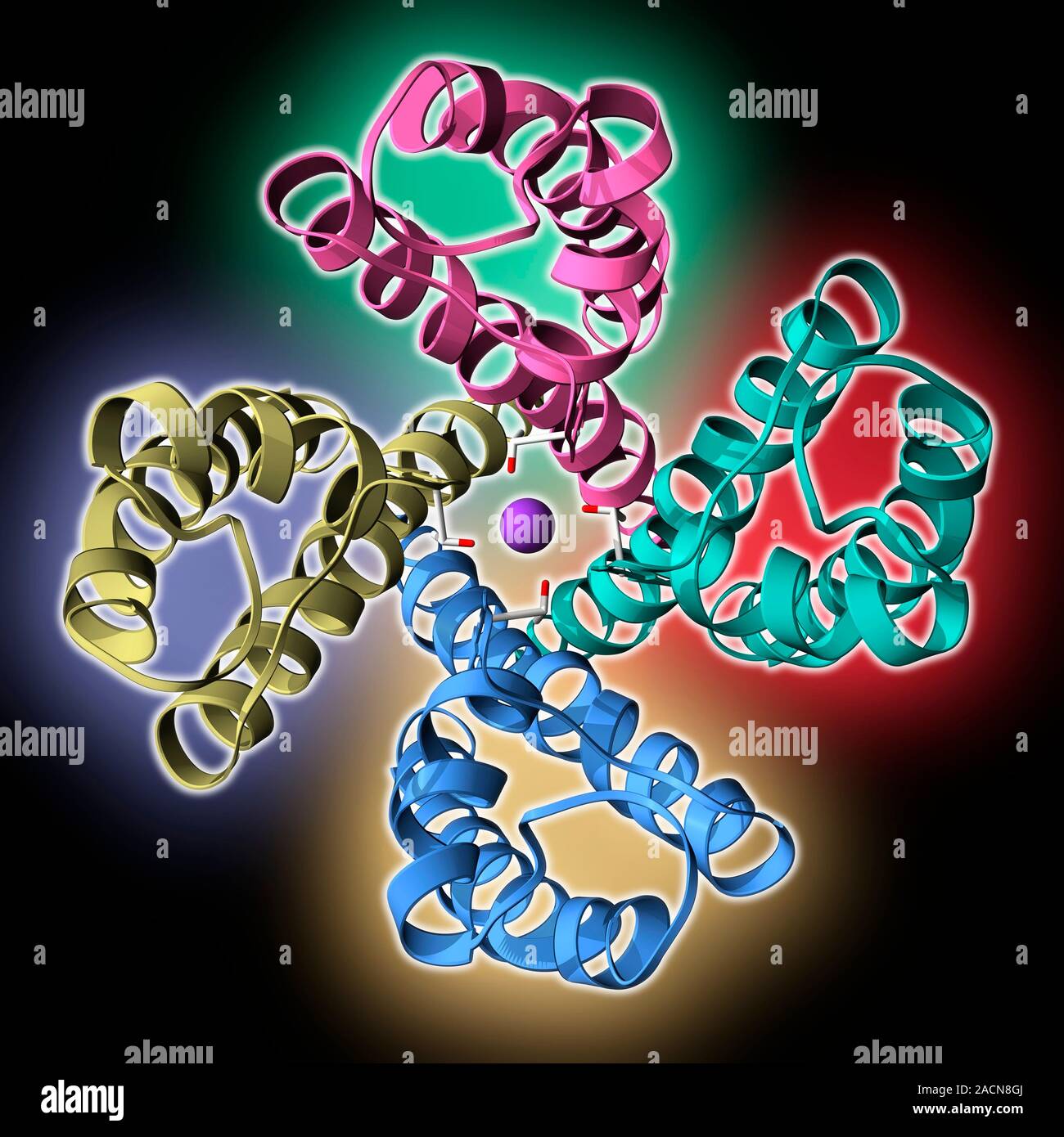 Potassium channel molecule. Computer model showing the secondary ...