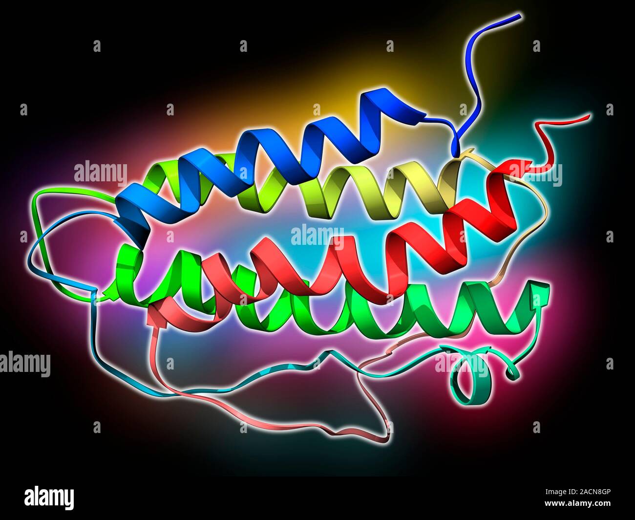 Erythropoietin hormone molecule. Computer model showing the secondary ...