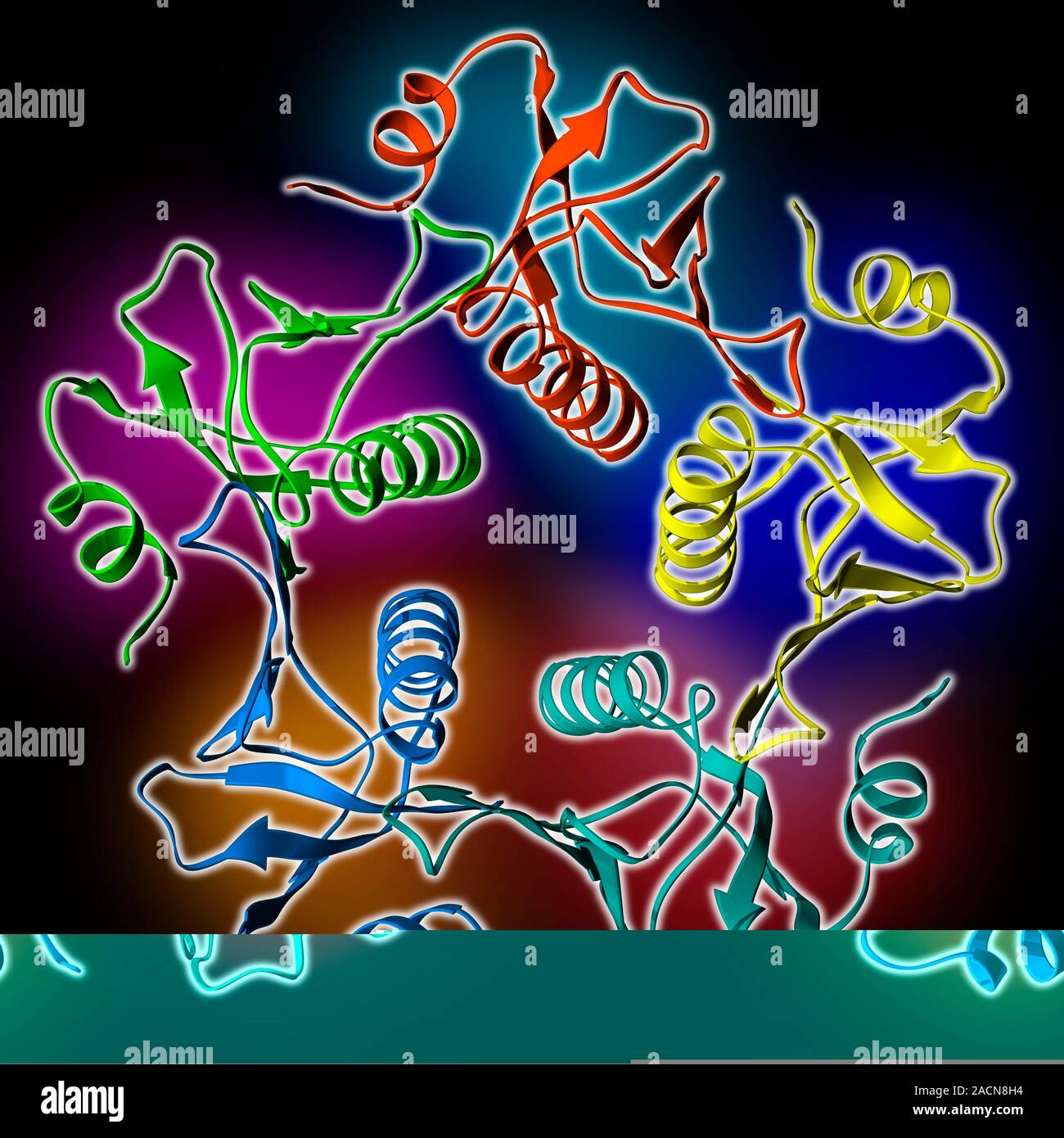 Cholera toxin molecule. Computer model showing the secondary structure ...