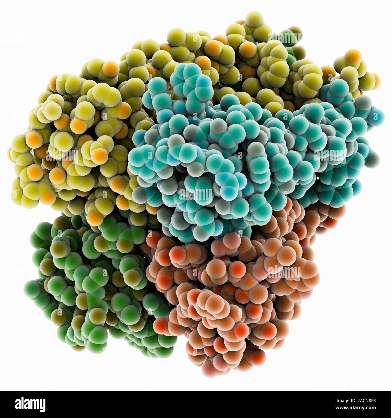 Potassium channel molecule. Molecular model of a KcsA potassium ion (K+ ...