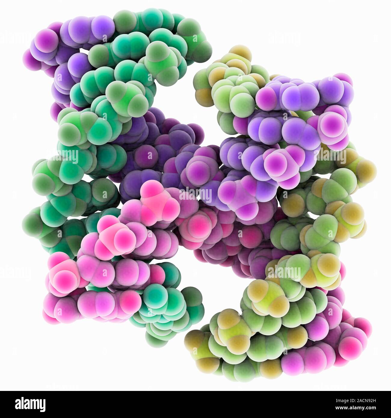 DNA Holliday junction. Molecular model of a Holliday junction (centre ...