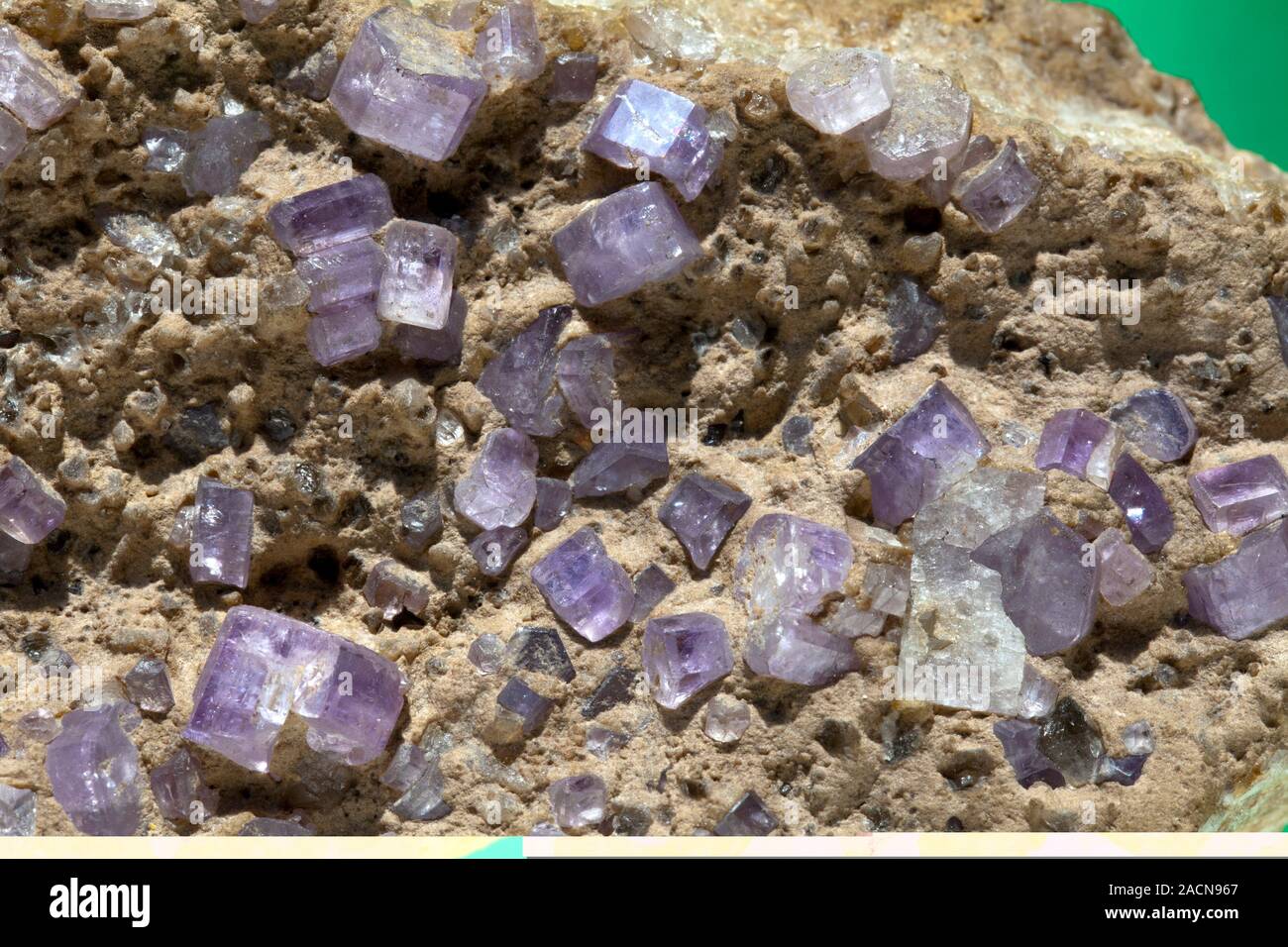 Apatite crystals in their host rock. Apatite (a calcium phosphate ...