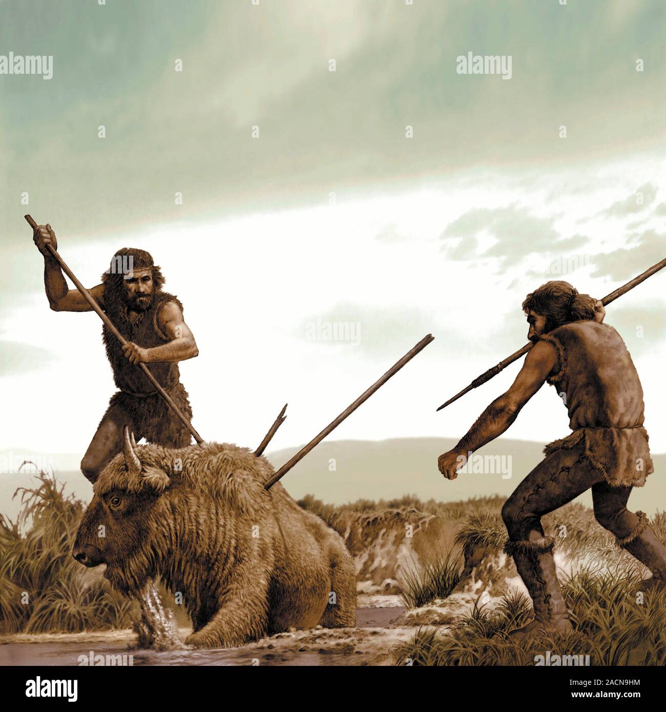 Prehistoric humans hunting. Artwork of two early modern humans (Homo ...