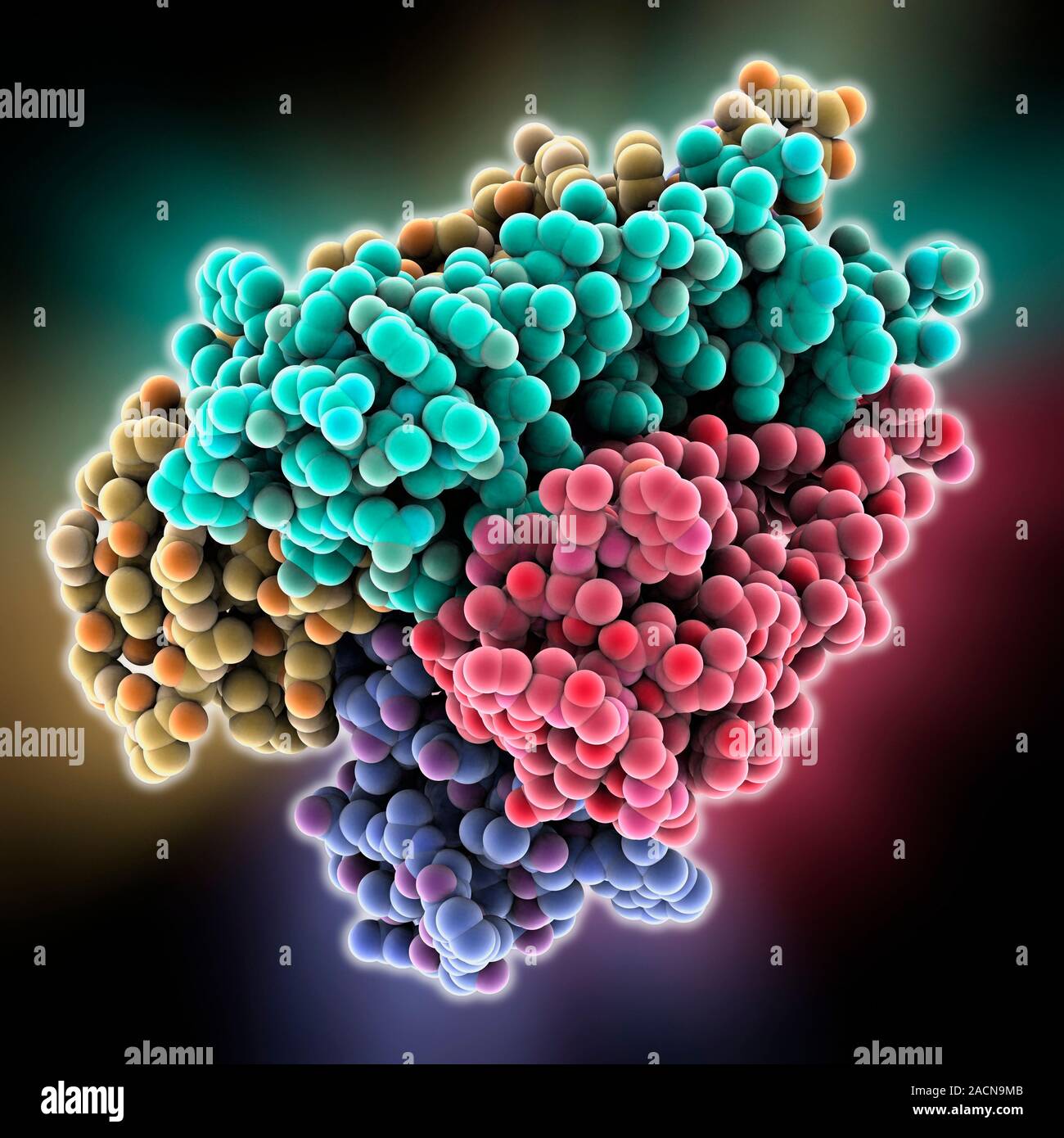 Potassium channel molecule. Molecular model of a KcsA potassium ion (K+ ...