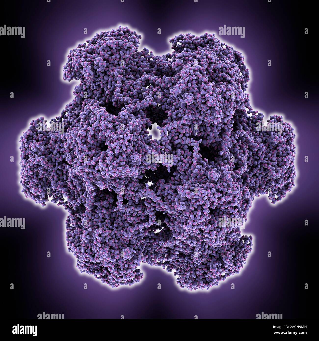 HPV surface protein L1, molecular model. This is a complex made up of ...