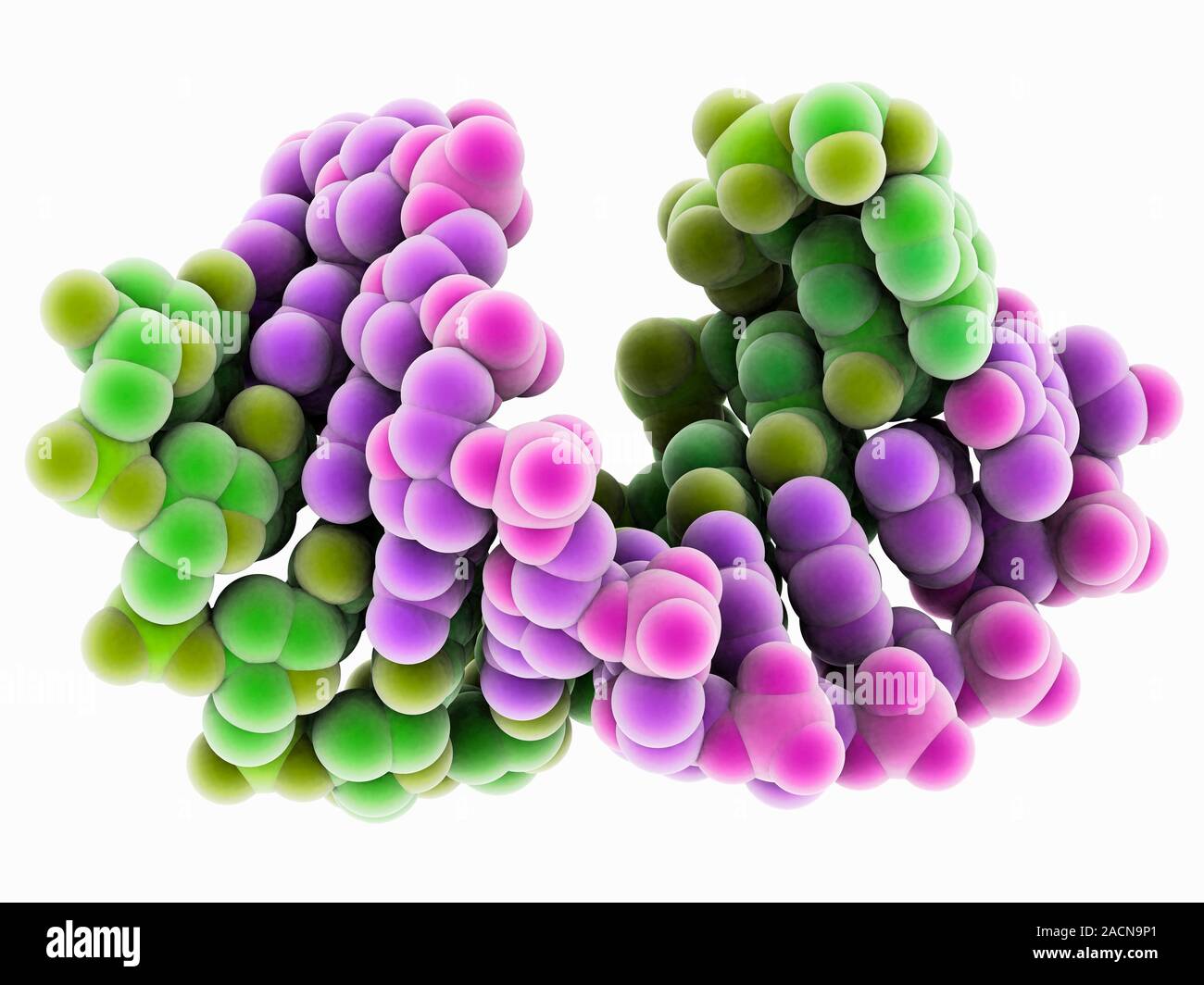A Dna Molecule Computer Model Showing The A Structure Of A Dna Deoxyribonucleic Acid Molecule