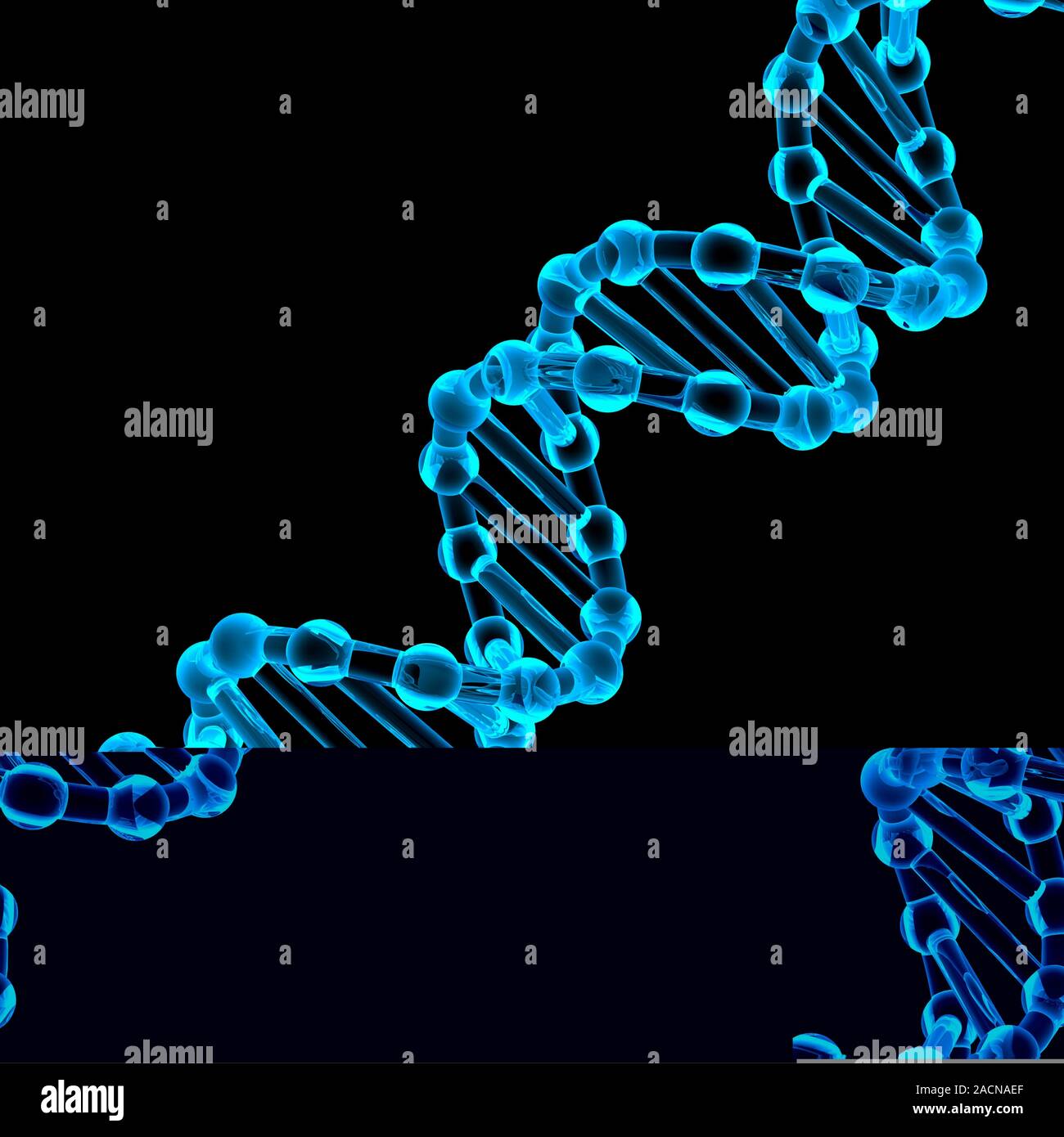 DNA molecule. Computer artwork showing a double stranded DNA ...