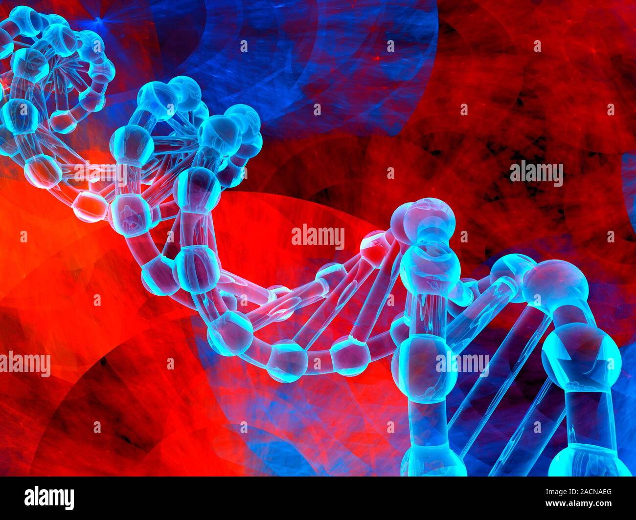 DNA molecule. Computer artwork showing a double stranded DNA ...