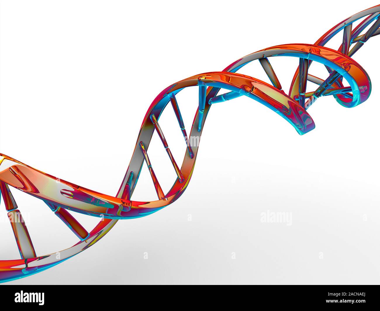 DNA molecule. Computer artwork showing a double stranded DNA ...